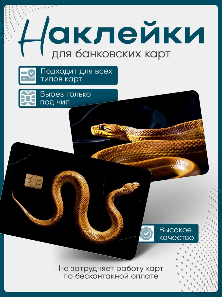 Наклейка на банковскую карту змея
