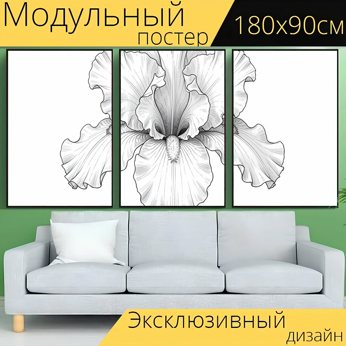 Модульный постер "Белый ирис в графике. Изящный ботанический цветок с крупными волнистыми лепестками, выполненный тонкими чёрными." 180 x 90 см. для интерьера на стену в тубусе