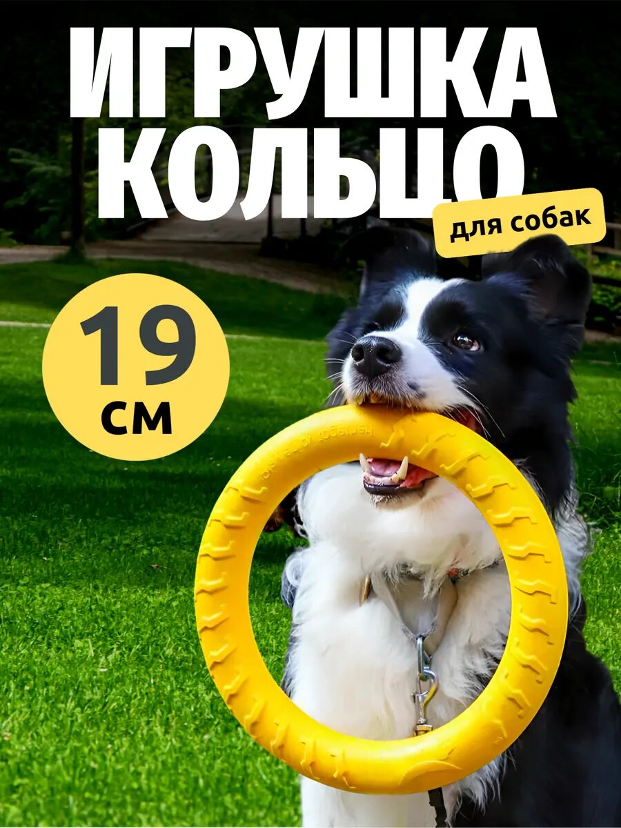 Игрушка для собак Кольцо 19 см