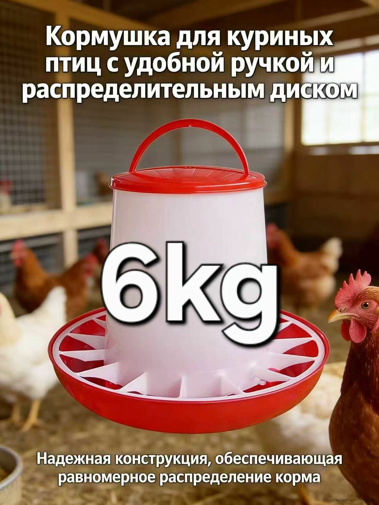 Кормушка для кур, Куриные принадлежности