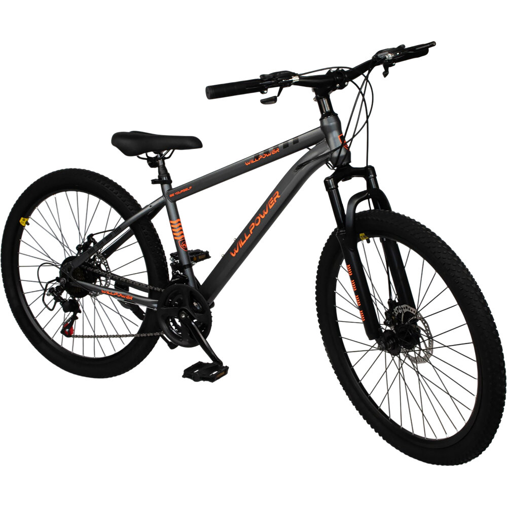 Велосипед детский 2-х колесный 26" WILLPOWER серый FG250904001C-3, 21 скорость