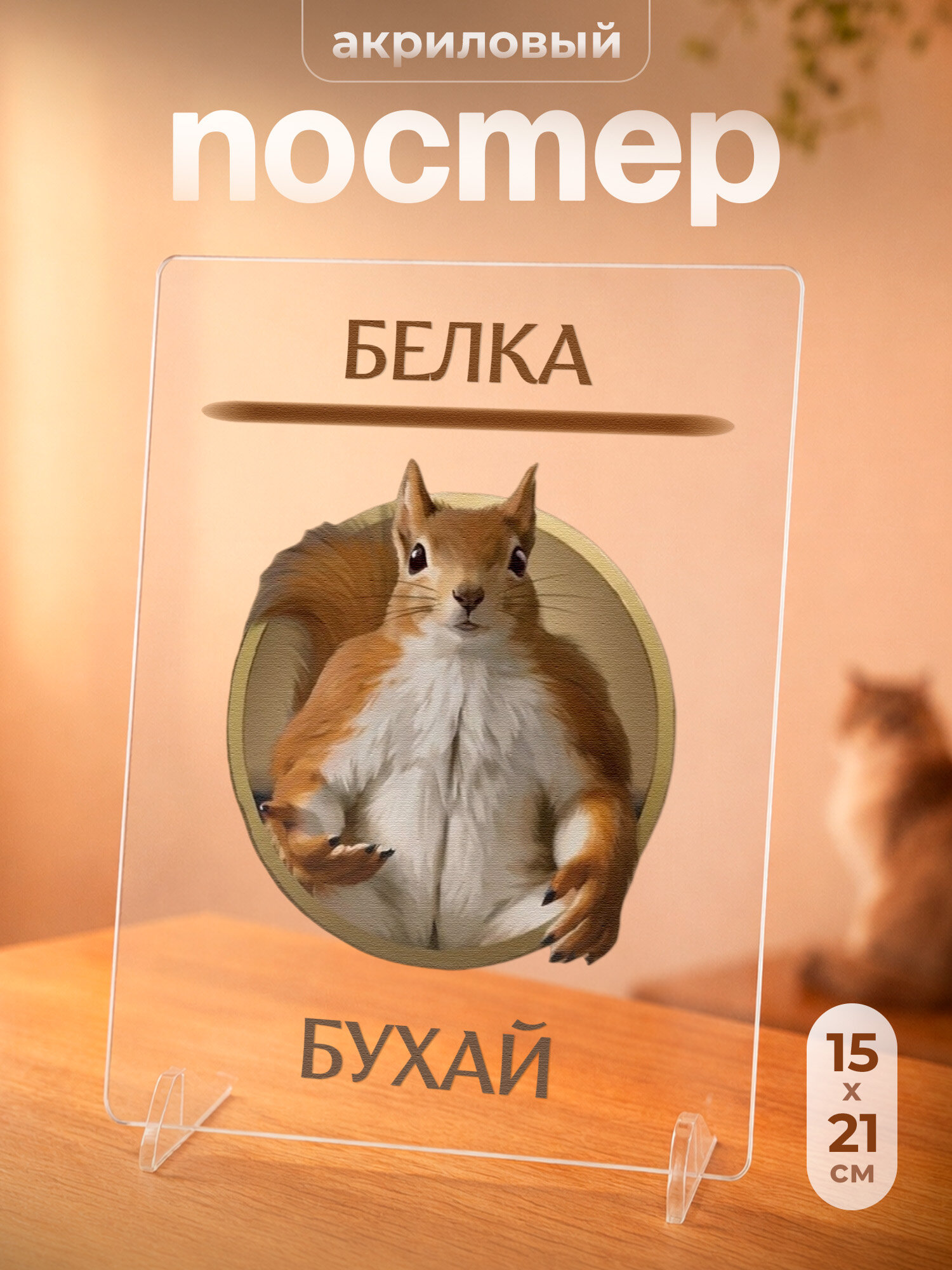 Постер акриловый белка мем бухай