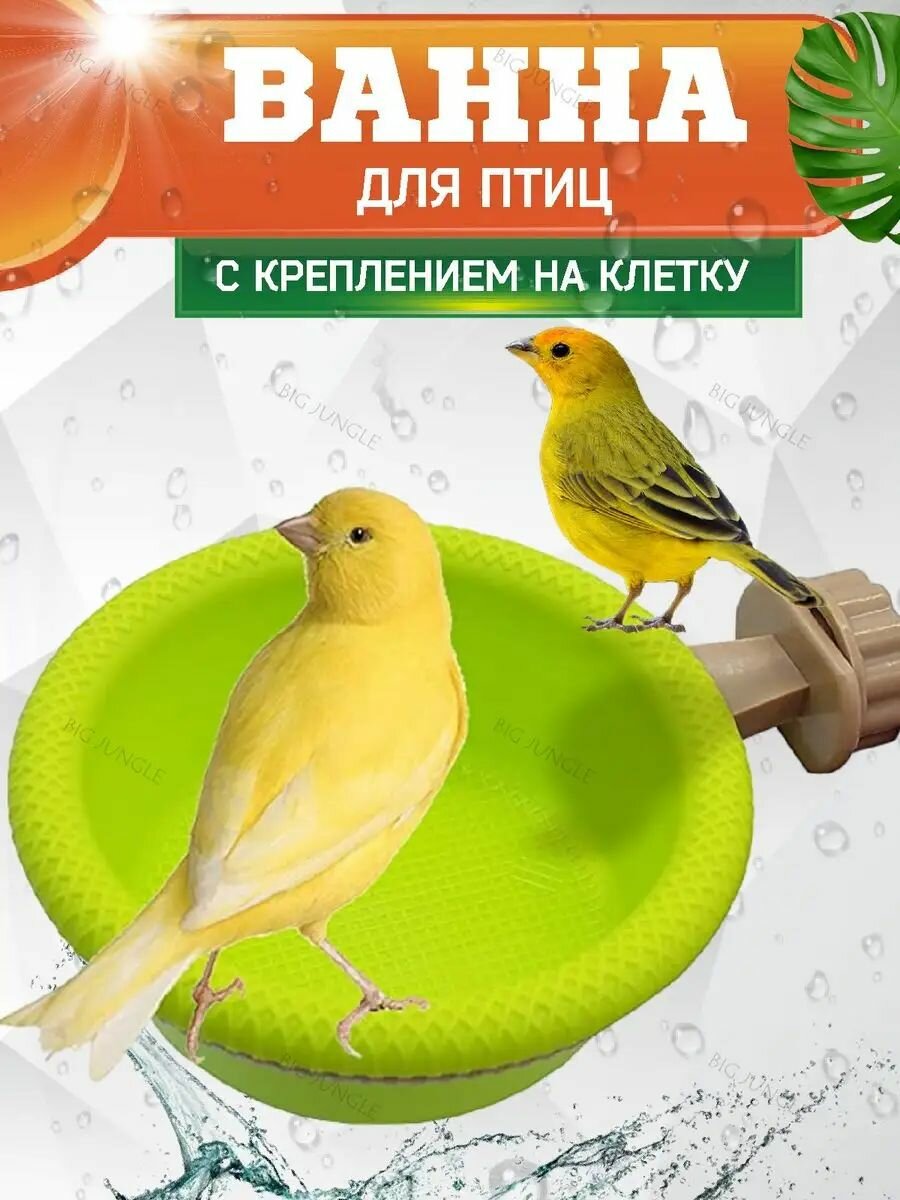 Купалка для попугаев Big Jungle ванночка поилка для птиц