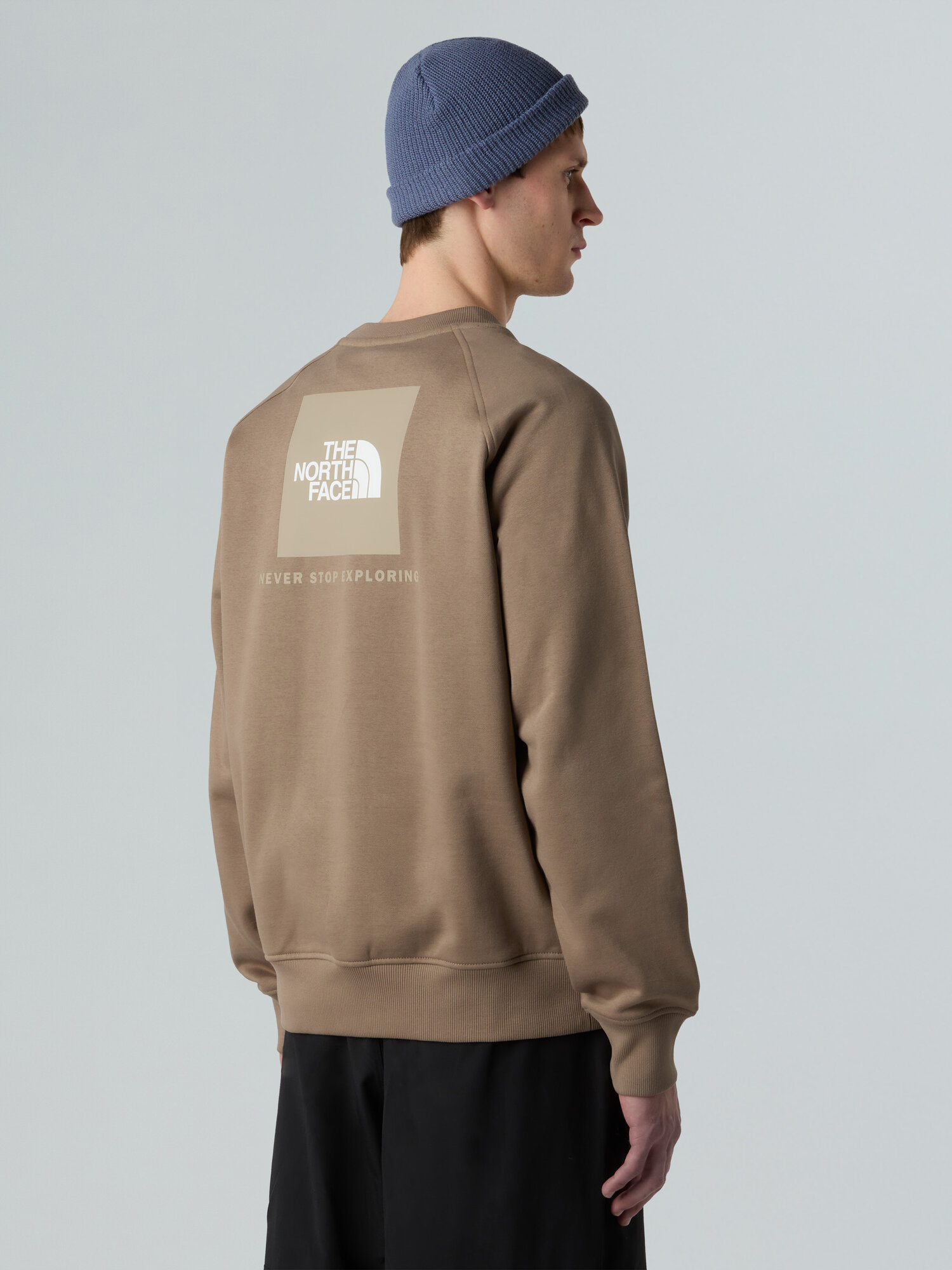 Свитшот The North Face Raglan Redbox, размер XL, , коричневый — фото 1