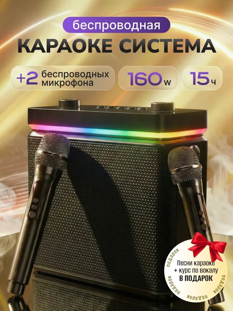 Караоке система с двумя микрофонами 160W