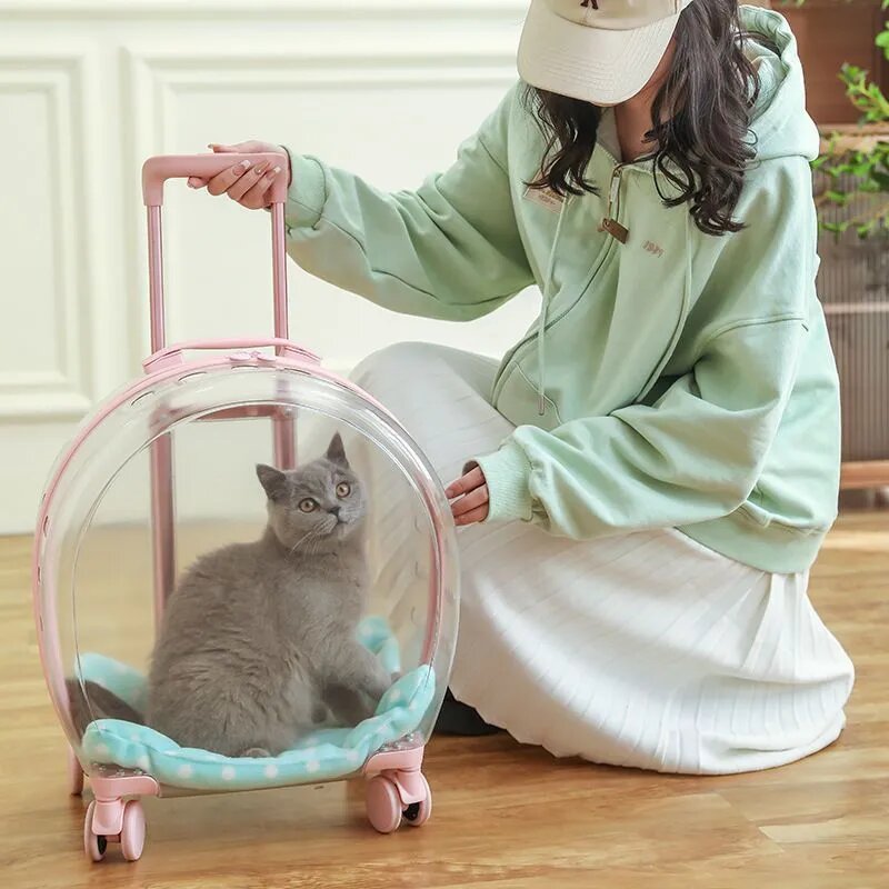 Переноска для кошек пластиковая , Кошачий чемодан