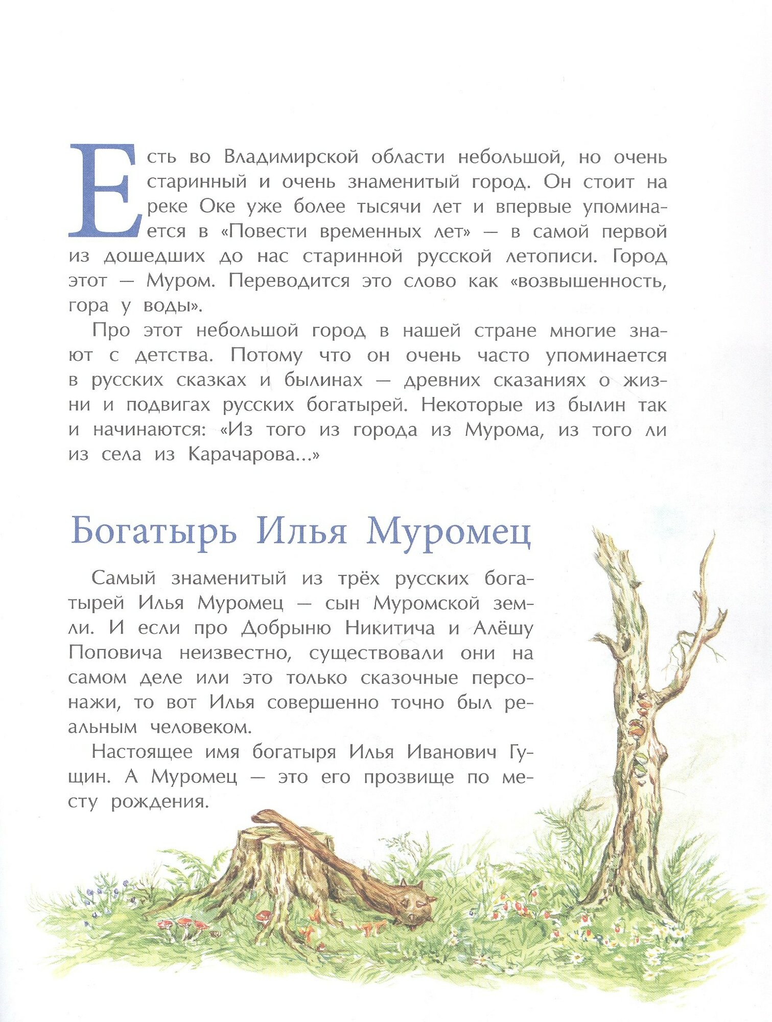 Муром. Родина Ильи Муромца — фото 1