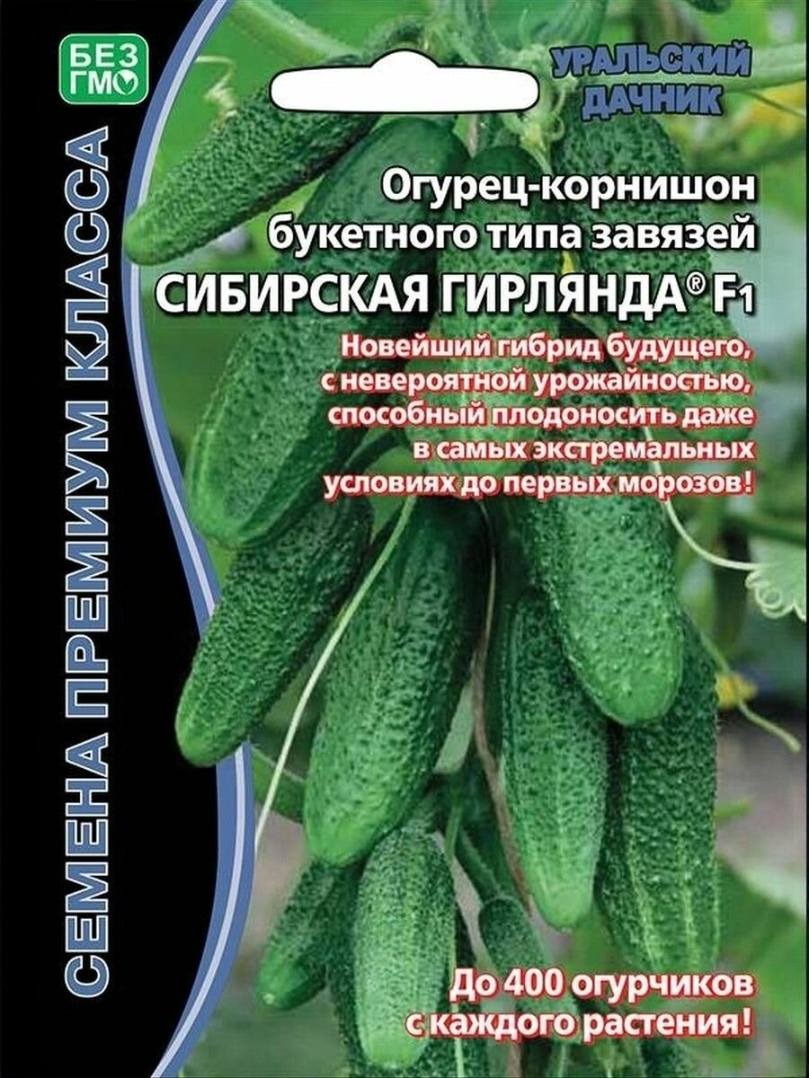 Семена огурцов "Сибирская гирлянда", Уральский дачник, 5 семян
