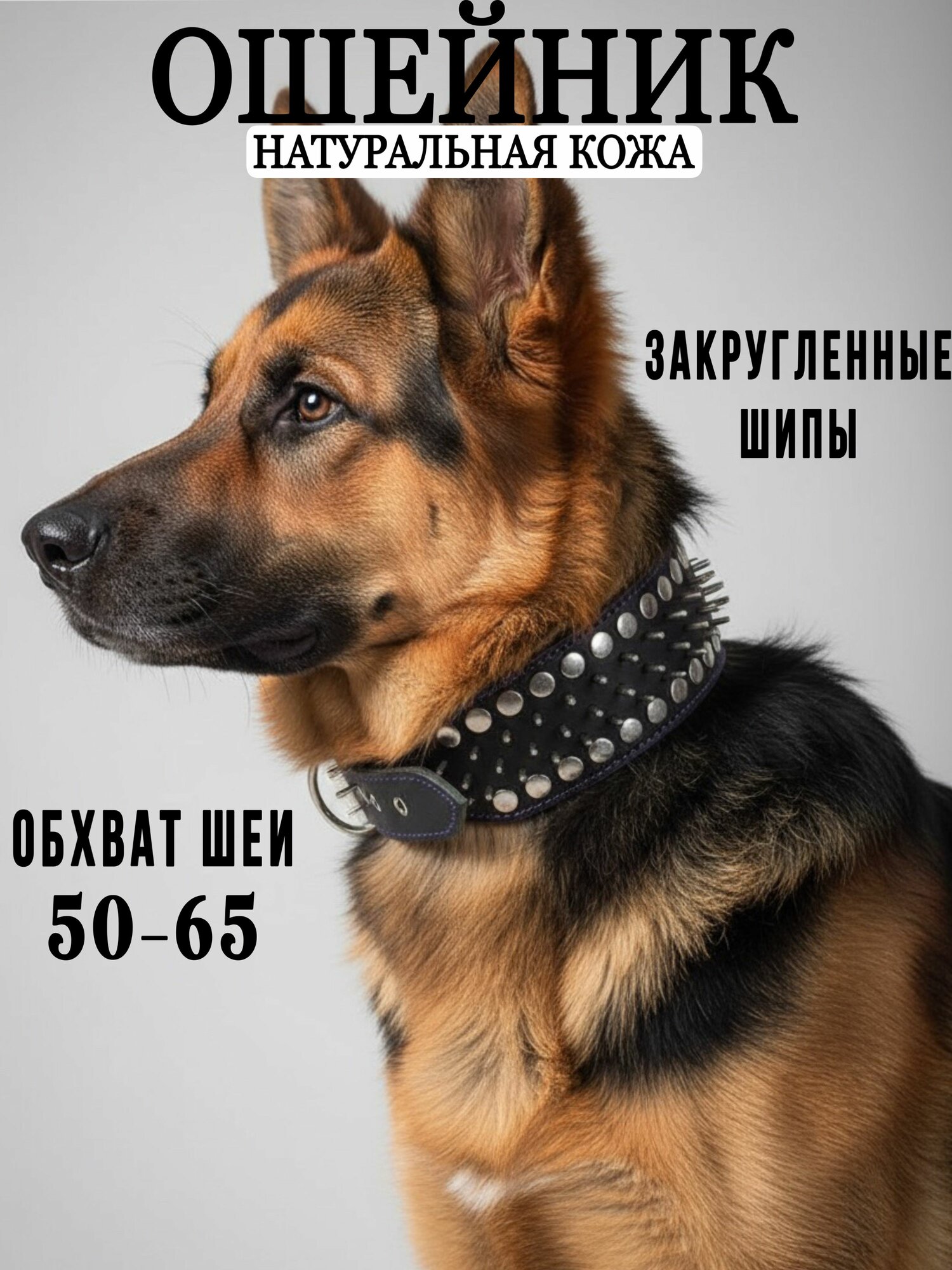 Ошейник с шипами для крупных пород собак, обхват шеи 50-65см