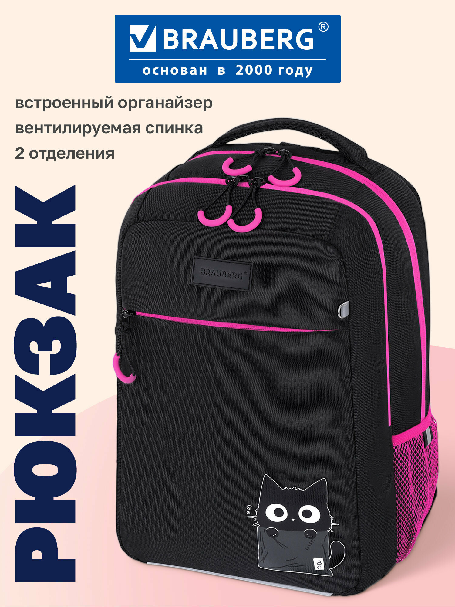 Рюкзак школьный для девочки, ранец для подростка, 2 отделения и 3 кармана, Brauberg Котик в коробке, 274398