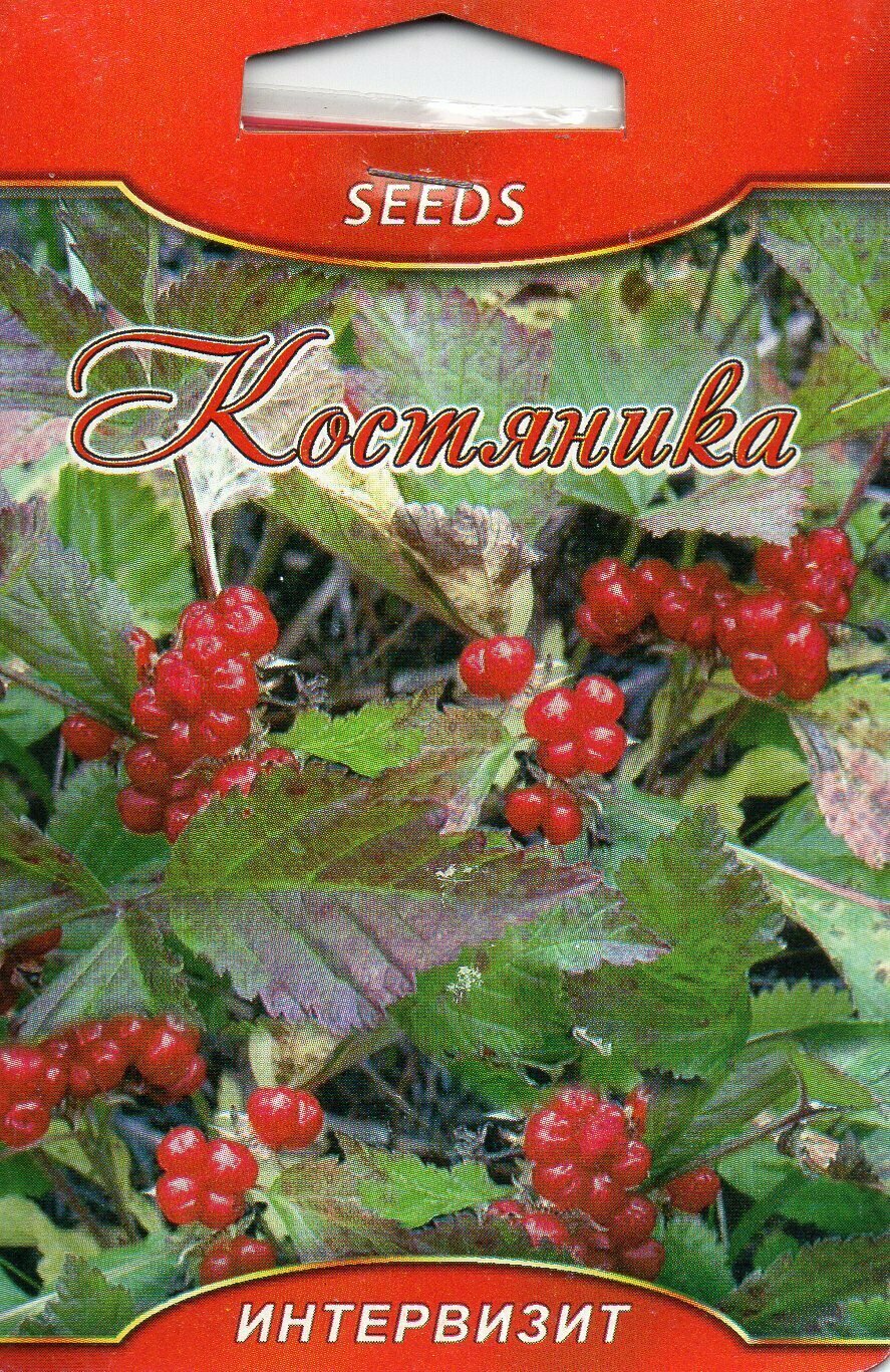Семена Костяники обыкновенной. Комплект 3 пакета