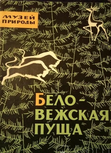 Беловежская пуща. Музей природы