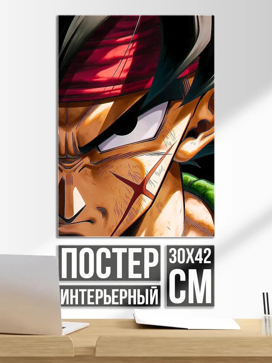 Плакат постер Бардок из Dragon Ball