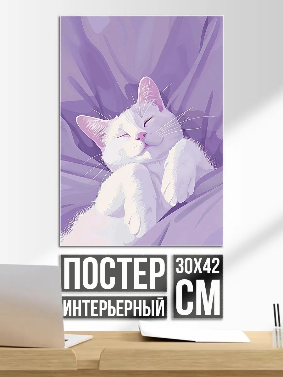 Плакат постер Спящий белый кот