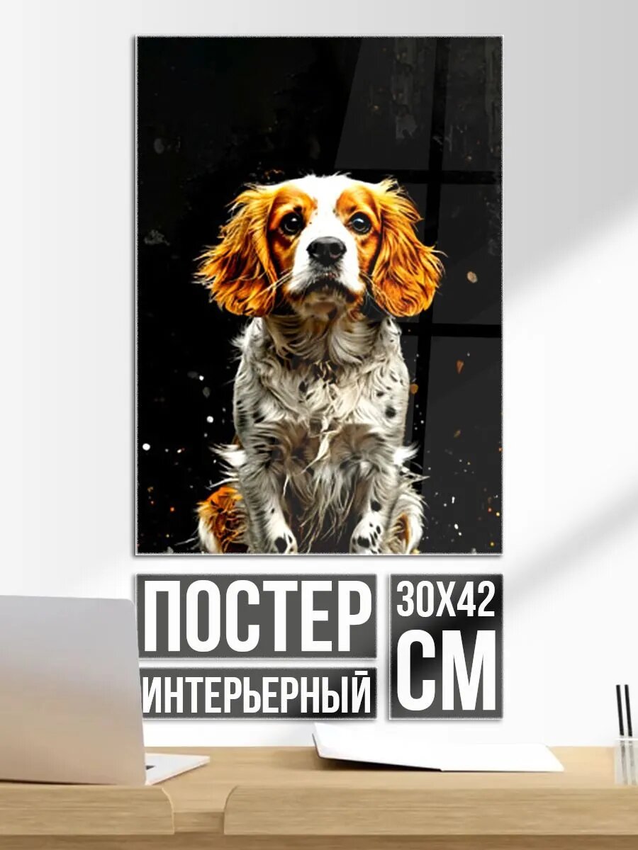 Постер на стену Кавалер кинг чарльз спаниель на черном
