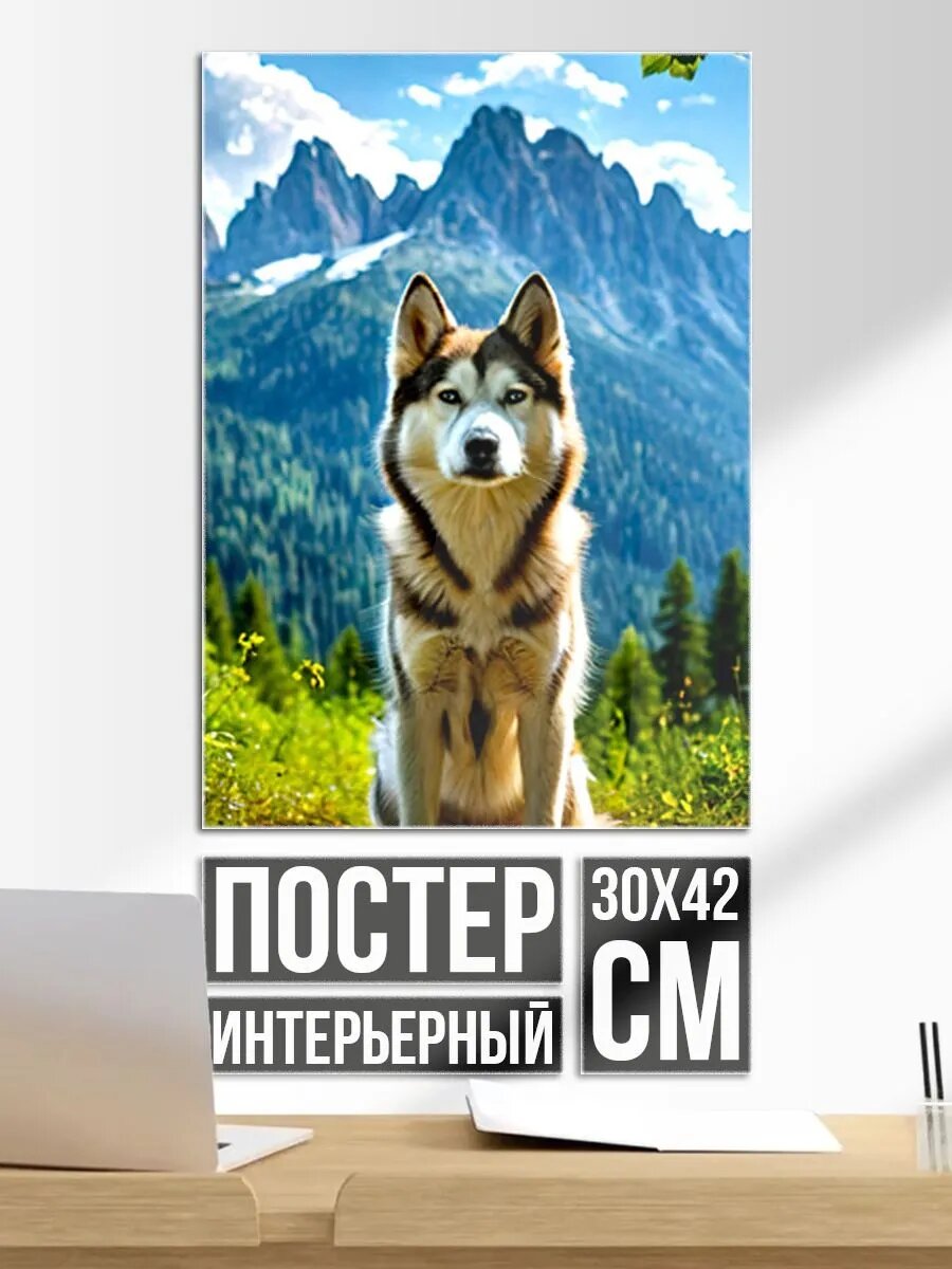 Постер на стену Сибирский Хаски в горах