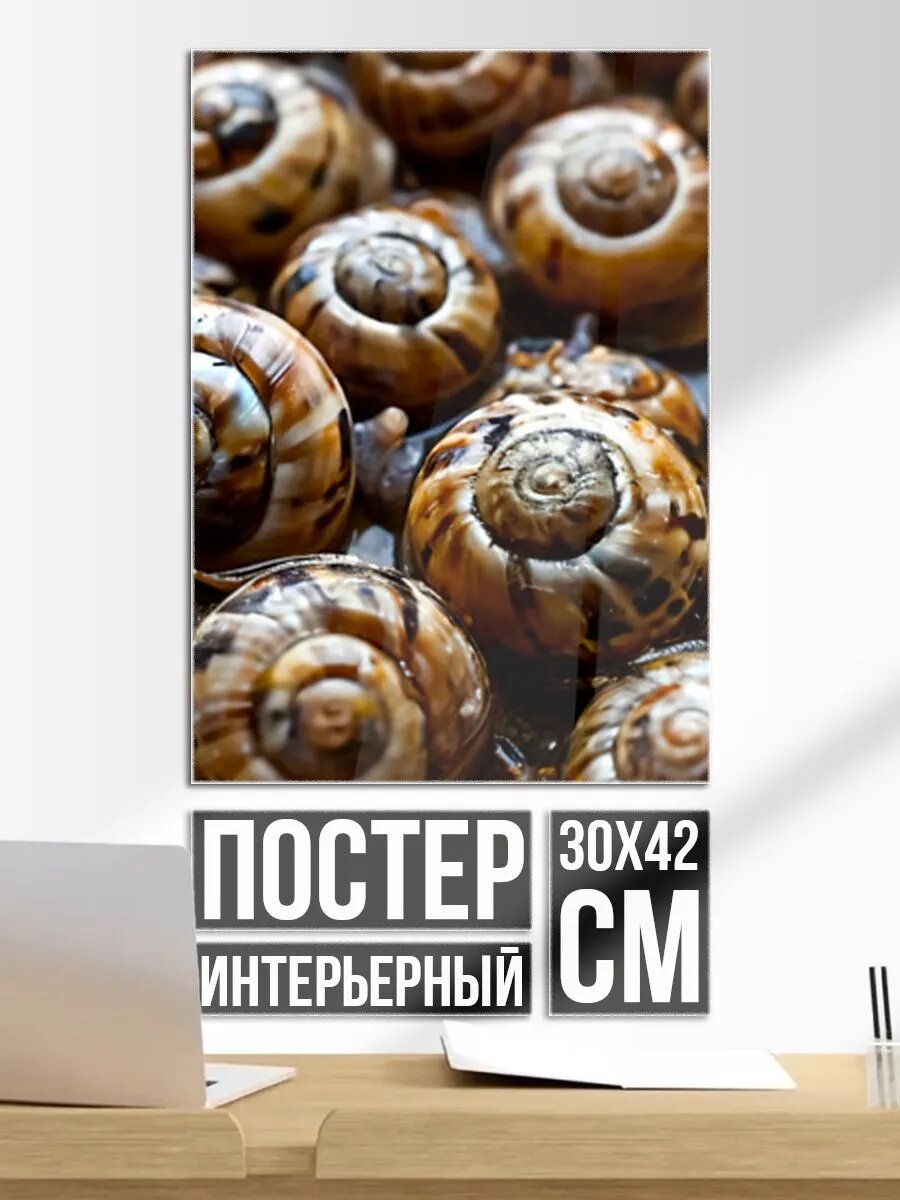 Постер на стену Куча улиток