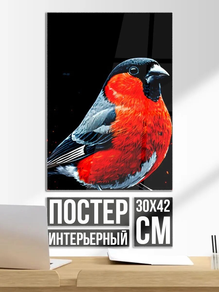 Постер на стену Огромный снегирь