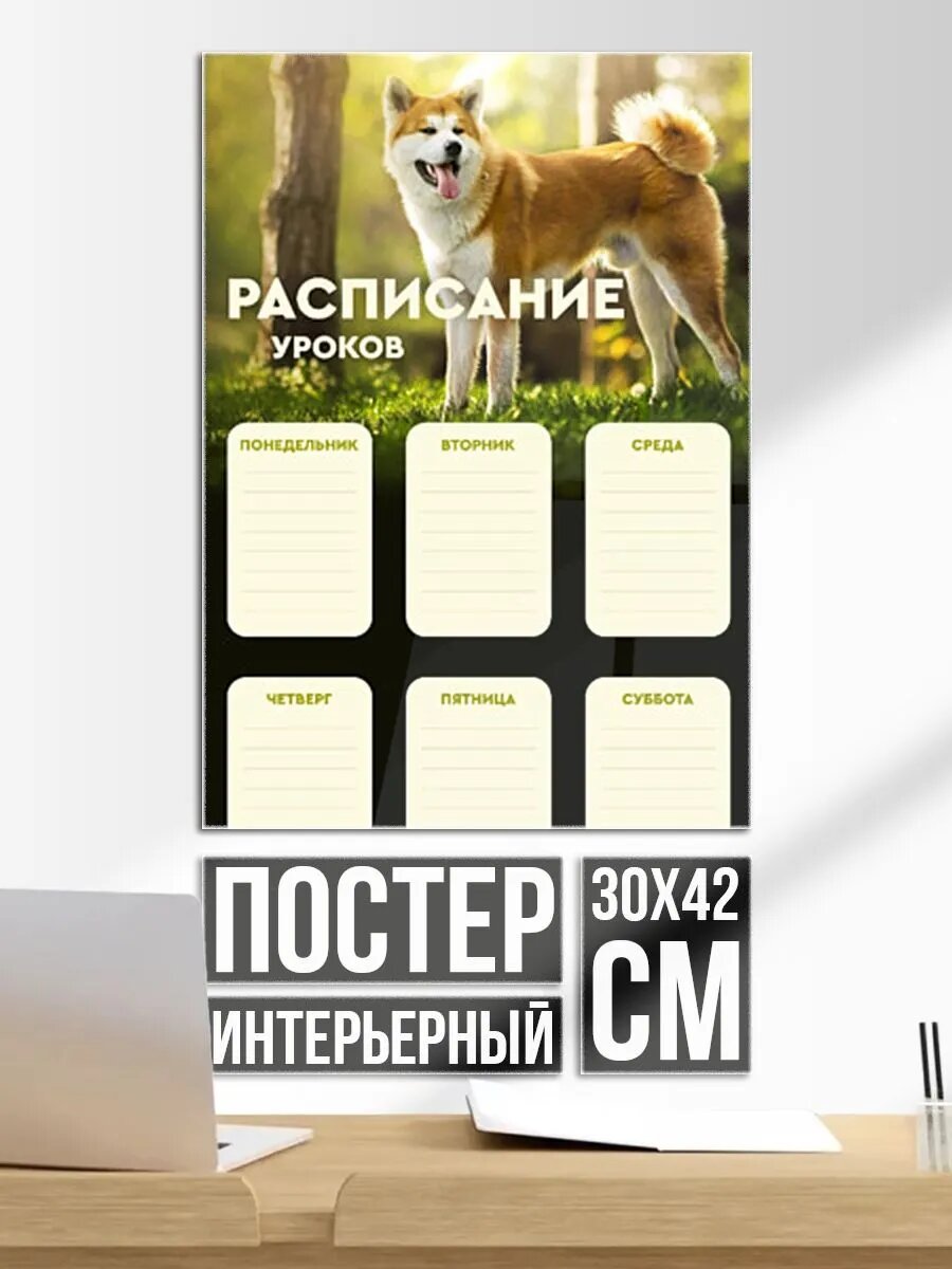 Постер на стену Акита ину собака Расписание уроков