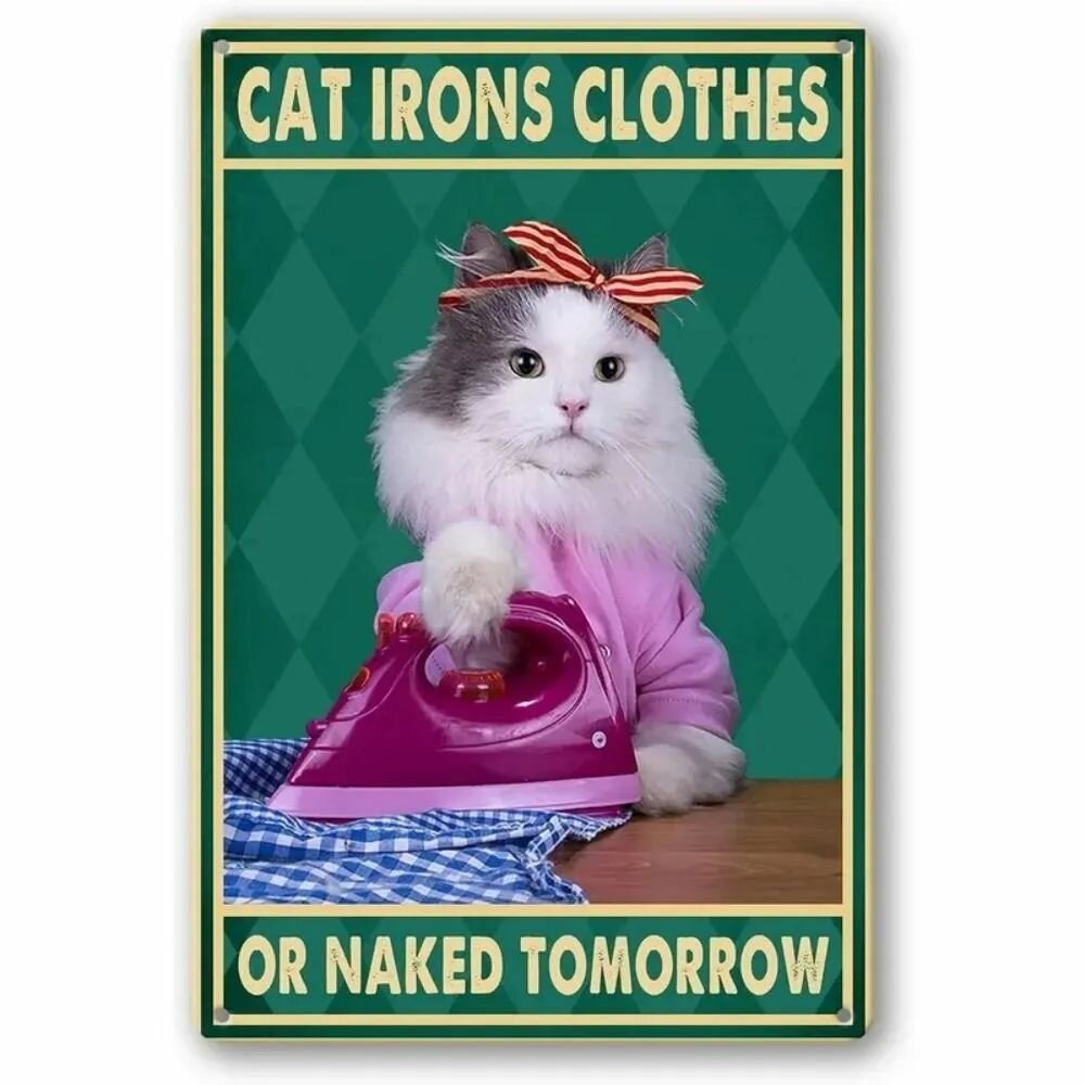 Табличка кот глажет одежду "Cat Irons Clothes Or Naked Tomorrow", ретро стиль, металл, декор для интерьера, 20х30 см.