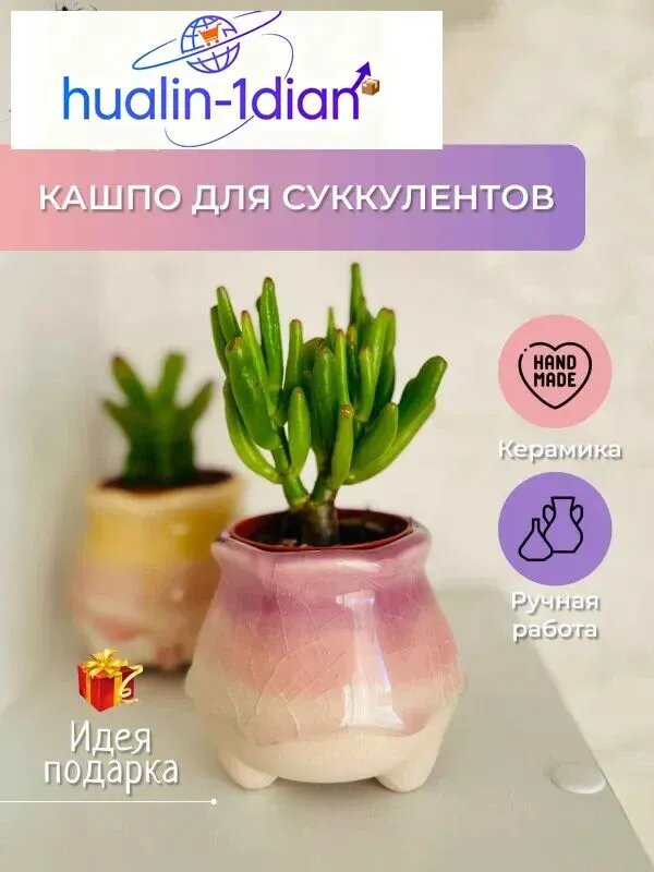 Кашпо 8 см, 1 шт, цвет белый, прозрачный