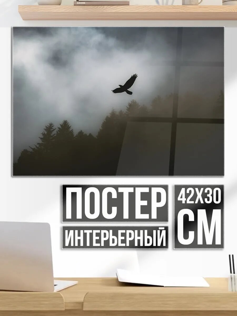 Плакат постер Орел в тумане