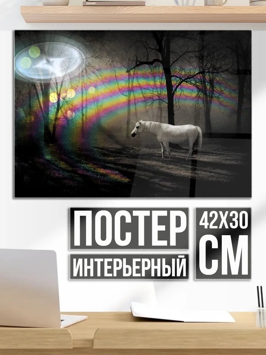 Плакат постер Белый конь радуга