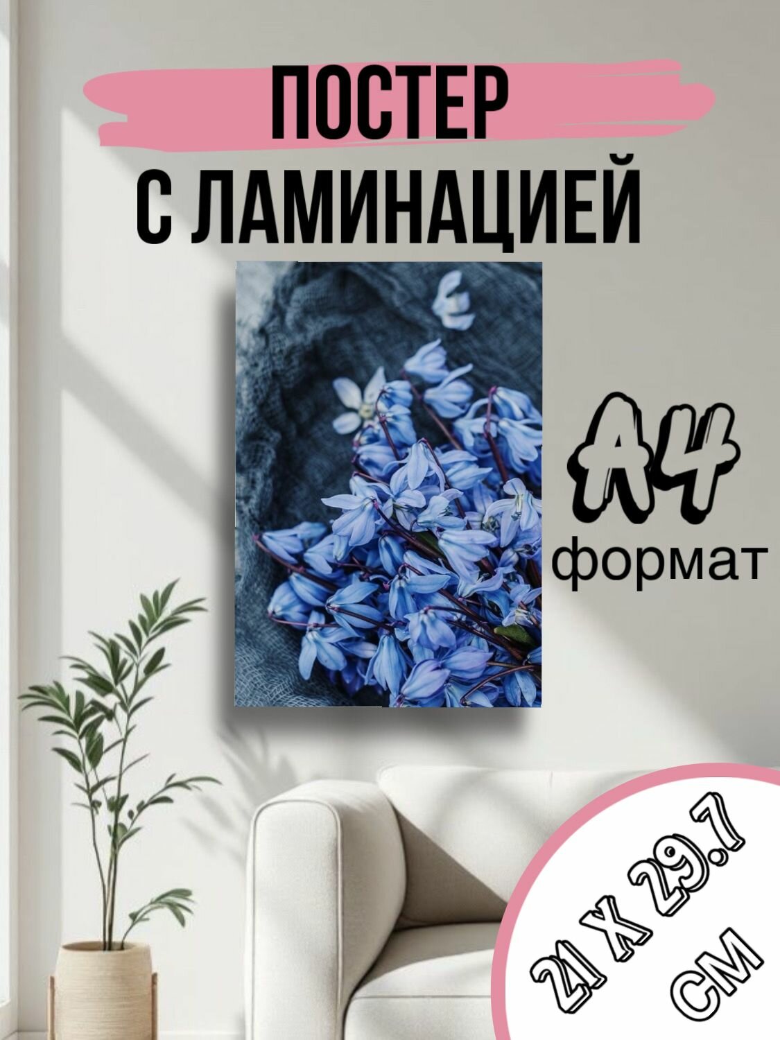 Постер