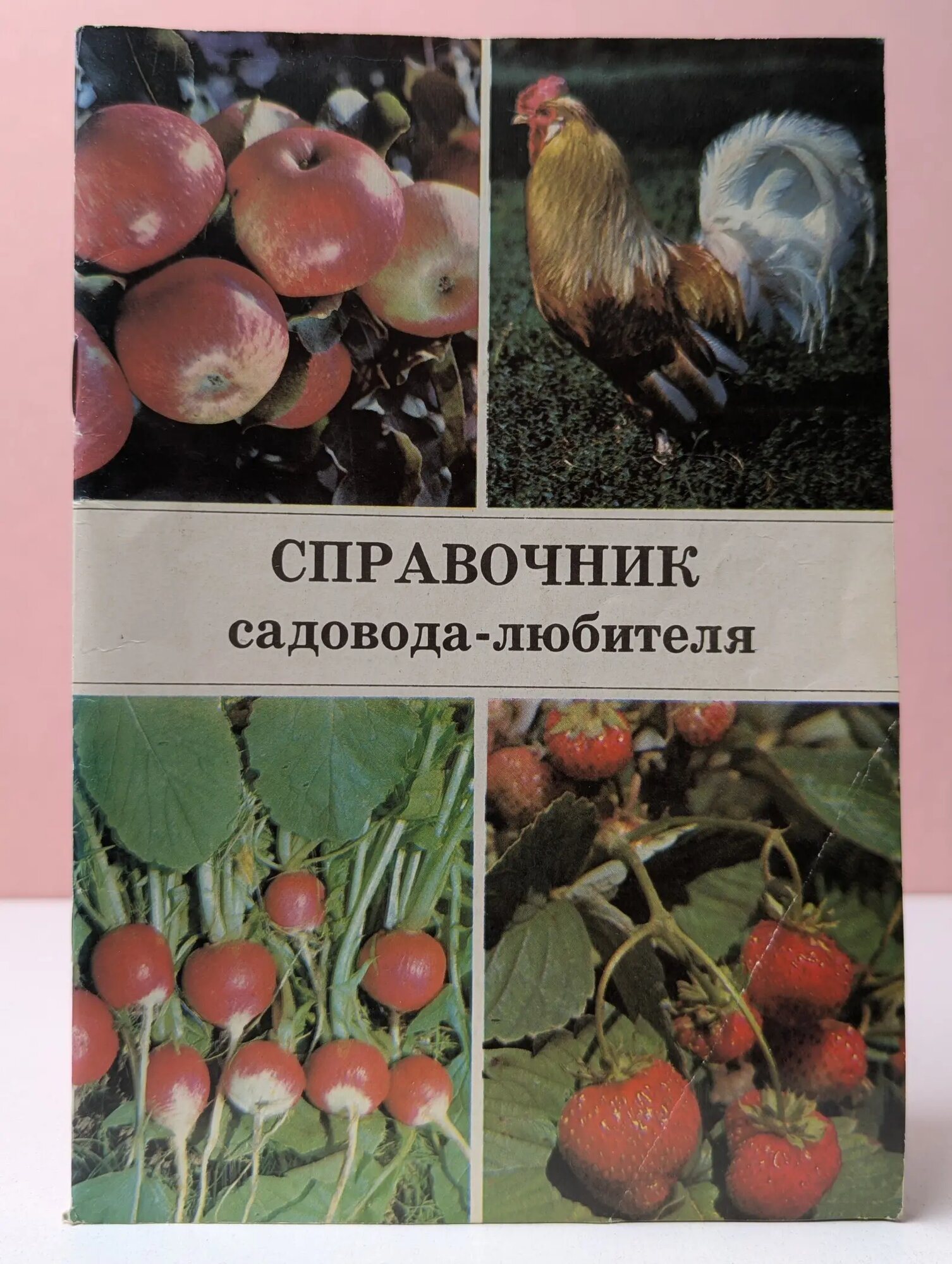 Справочник садовода-любителя Александров Владимир Александрович, Ракитин Александр Юрьевич, Мухин Вадим Дмитриевич 1985