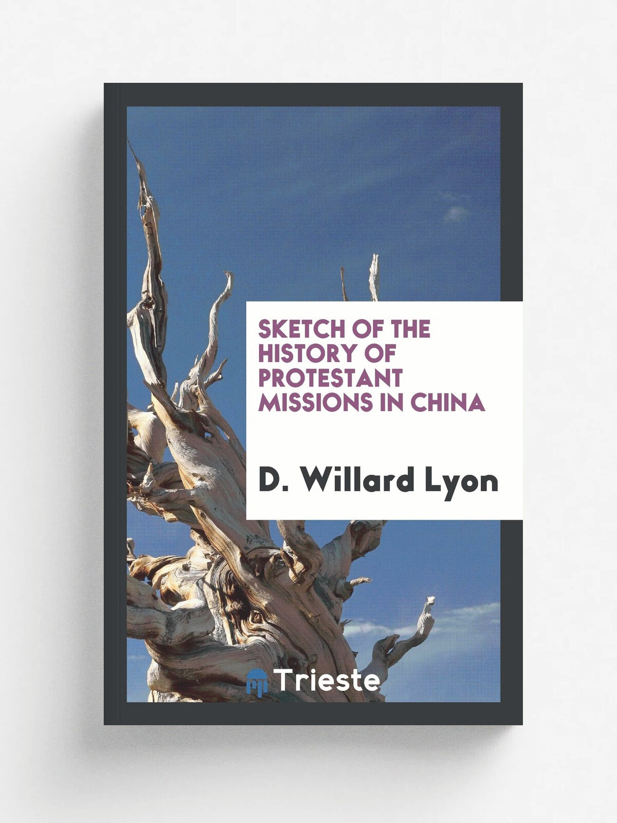 Sketch of the History of Protestant Missions in China