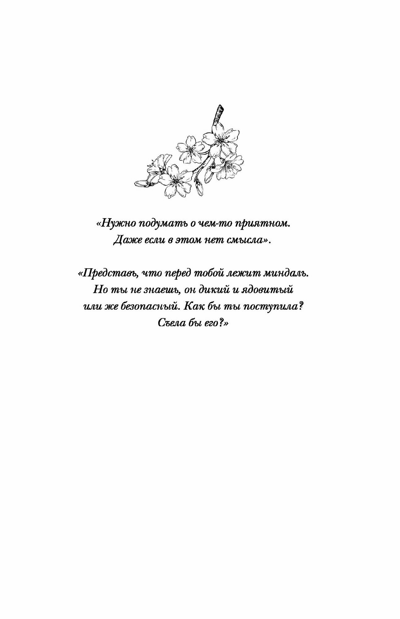 Лес мха — фото 1