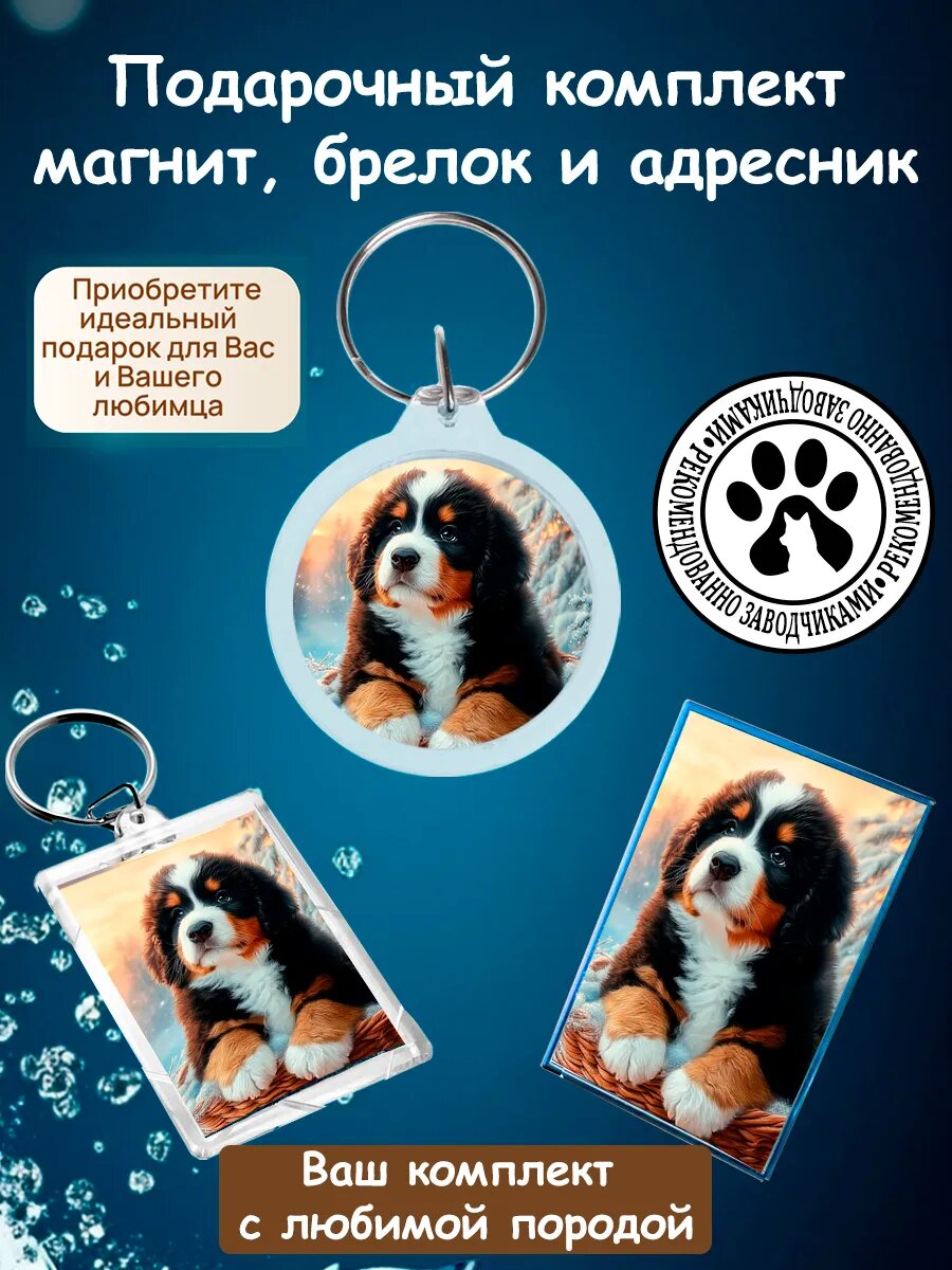 Подарочный комплект магнит брелок адресник