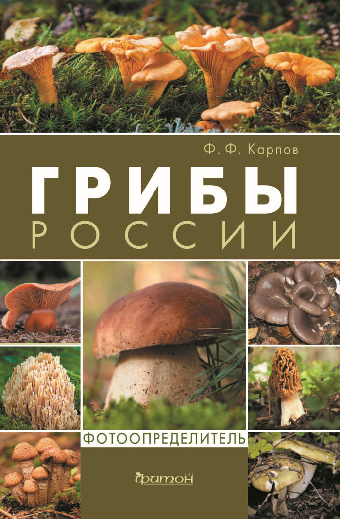 Грибы России. Фотоопределитель