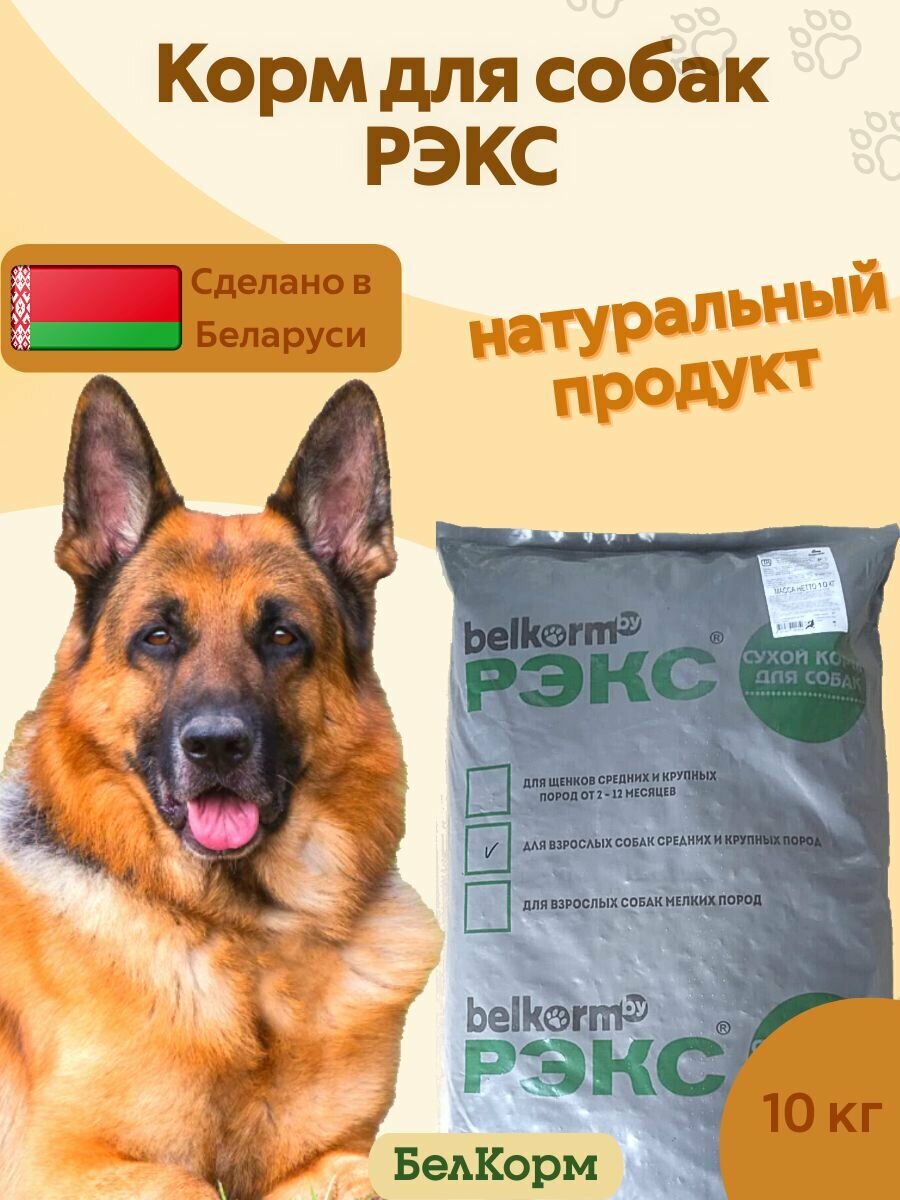 Корм для собак сухой рэкс 10 кг