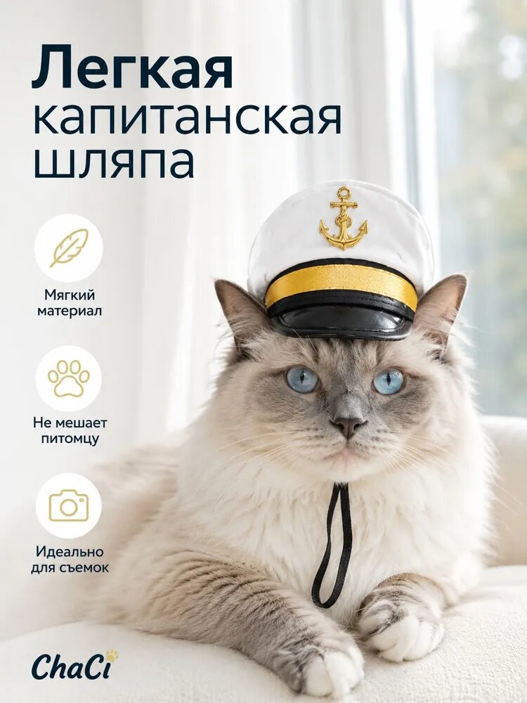 Капитанская фуражка для кошек и маленьких собак для фотосессии и праздника, мягкий текстиль, бело-чёрная с золотистым декором, размер M