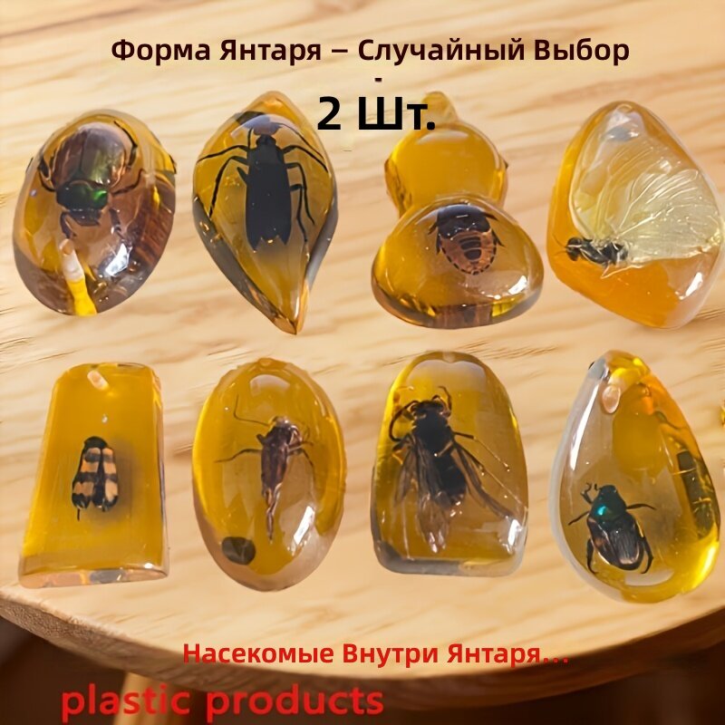 Набор имитации янтаря с пластиковыми насекомыми, 2 витрины, образовательная коллекция для учителей биологии