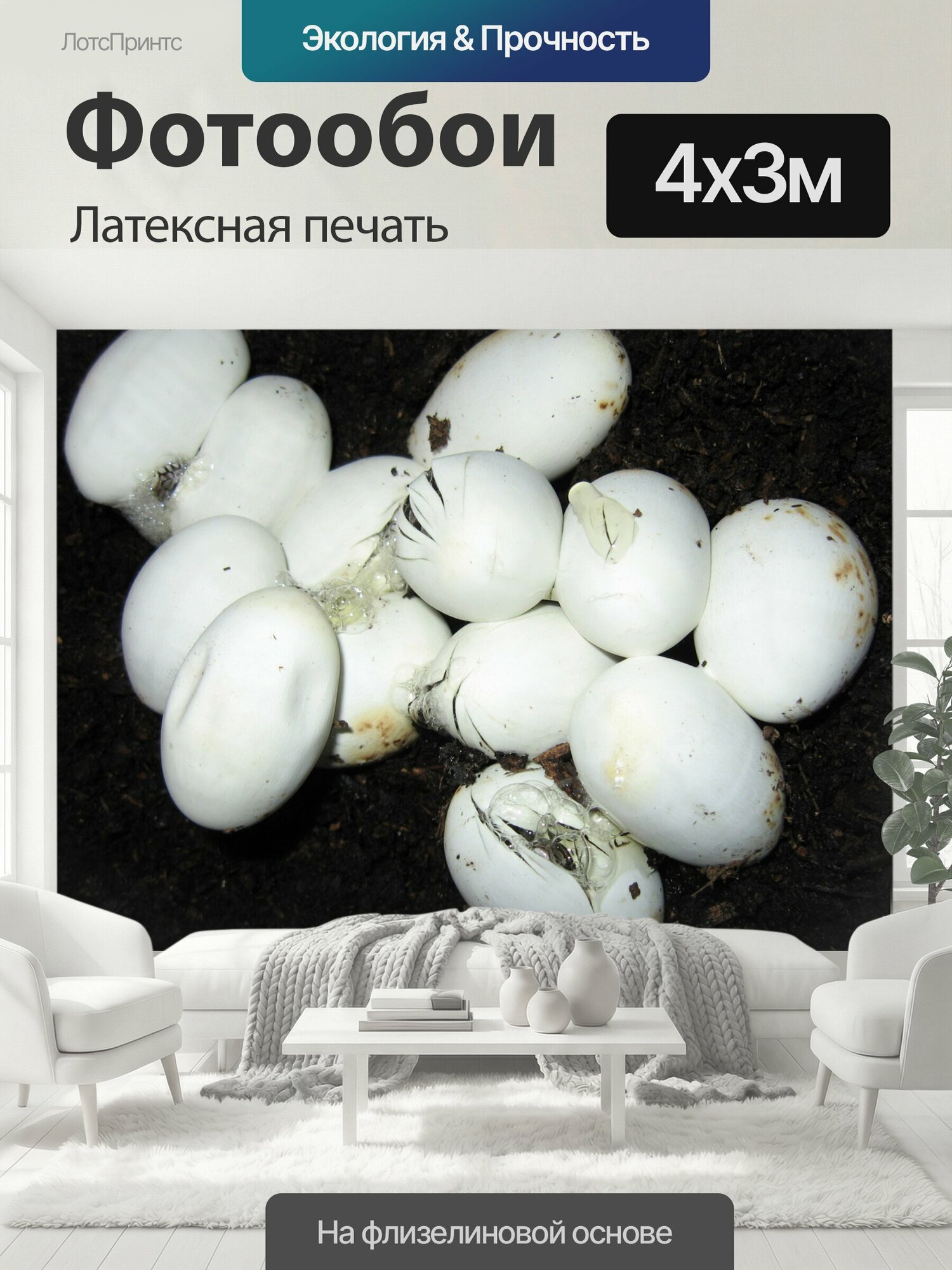 Фотообои моющиеся ударопрочные "Змеи Штриховка Змеи штриховки из яйца. Змея яйца змеи пресмыкающиеся" 400x300 см. латексная печать