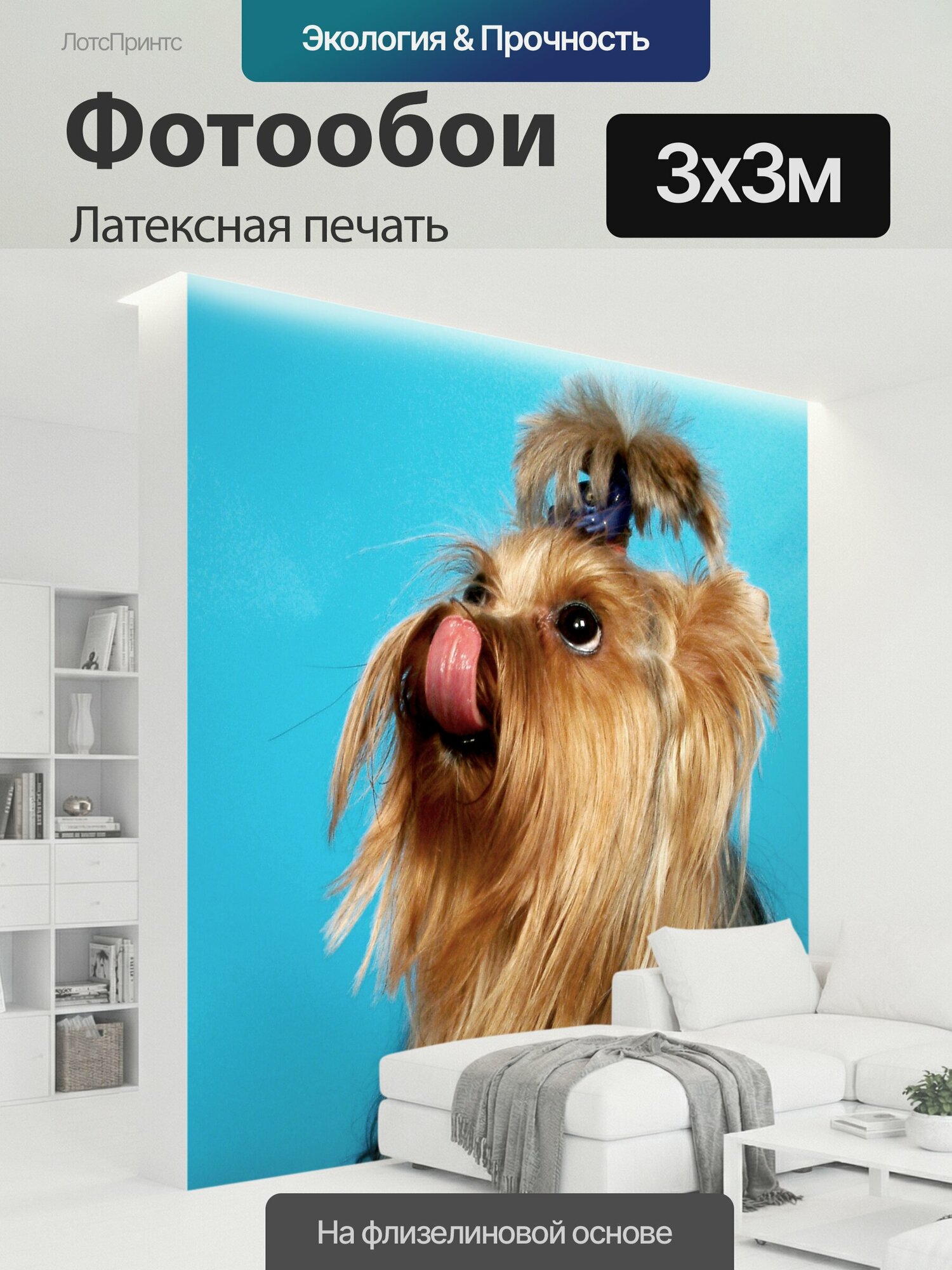 Фотообои моющиеся ударопрочные "Собачка Маленькая собака коснуться его нос с языком собака нос язык" 300x300 см. латексная печать
