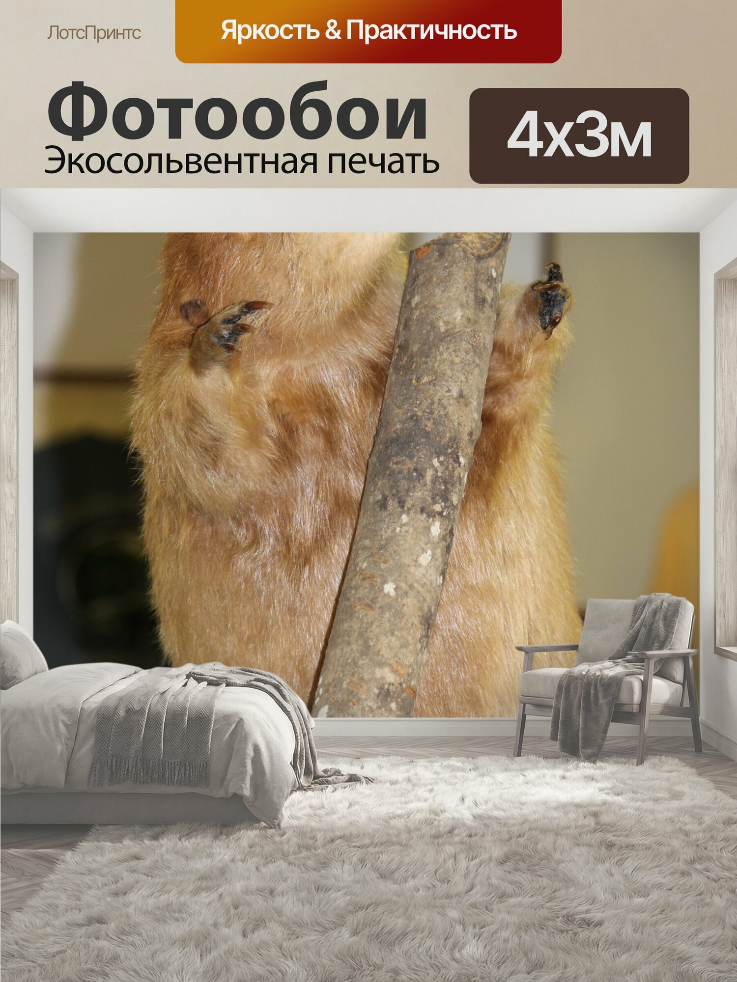 Фотообои "Таксидермия Beaver Закрыть вверх выстрел из таксидермия бобра с деталями зубов, меха. таксидермия бобра мех зубы глаза нос когти." 400x300 см. экосольвентная печать