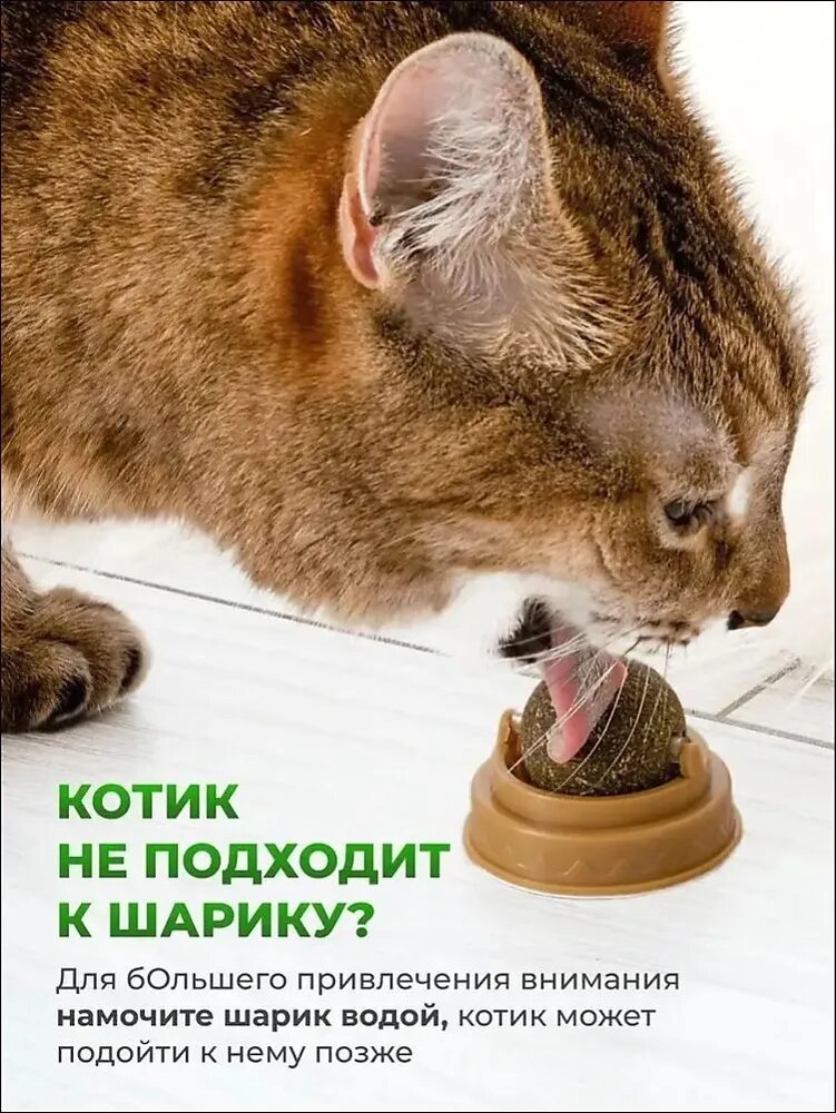 Интерактивная игрушка для кошки, мячик с мятой со звуком птиц для кошек и собак. Игрушки для кошек.