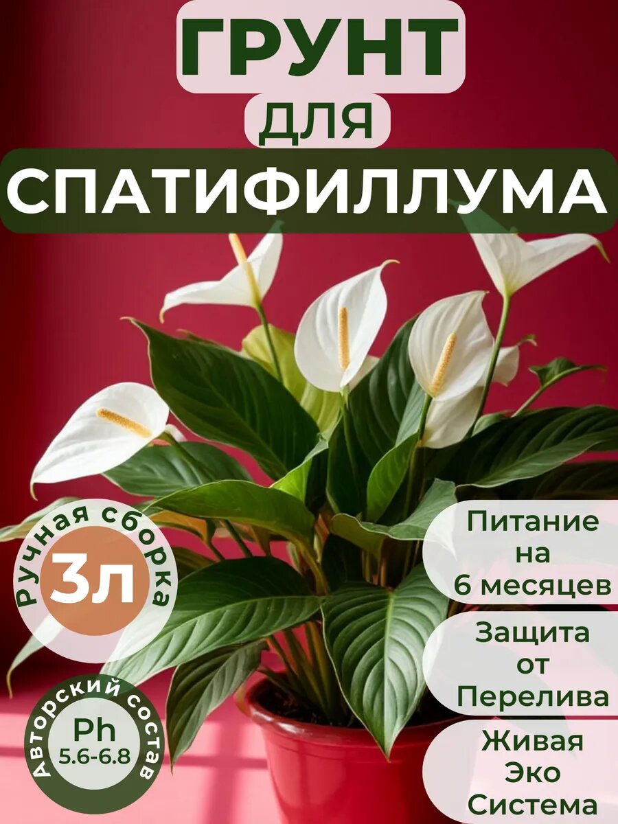 Готовый авторский грунт для Спатифиллума, премиум 3 литра