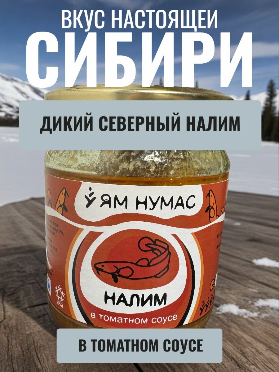 Налим в томатном соусе 450 грамм ЯМ нумас — фото 1
