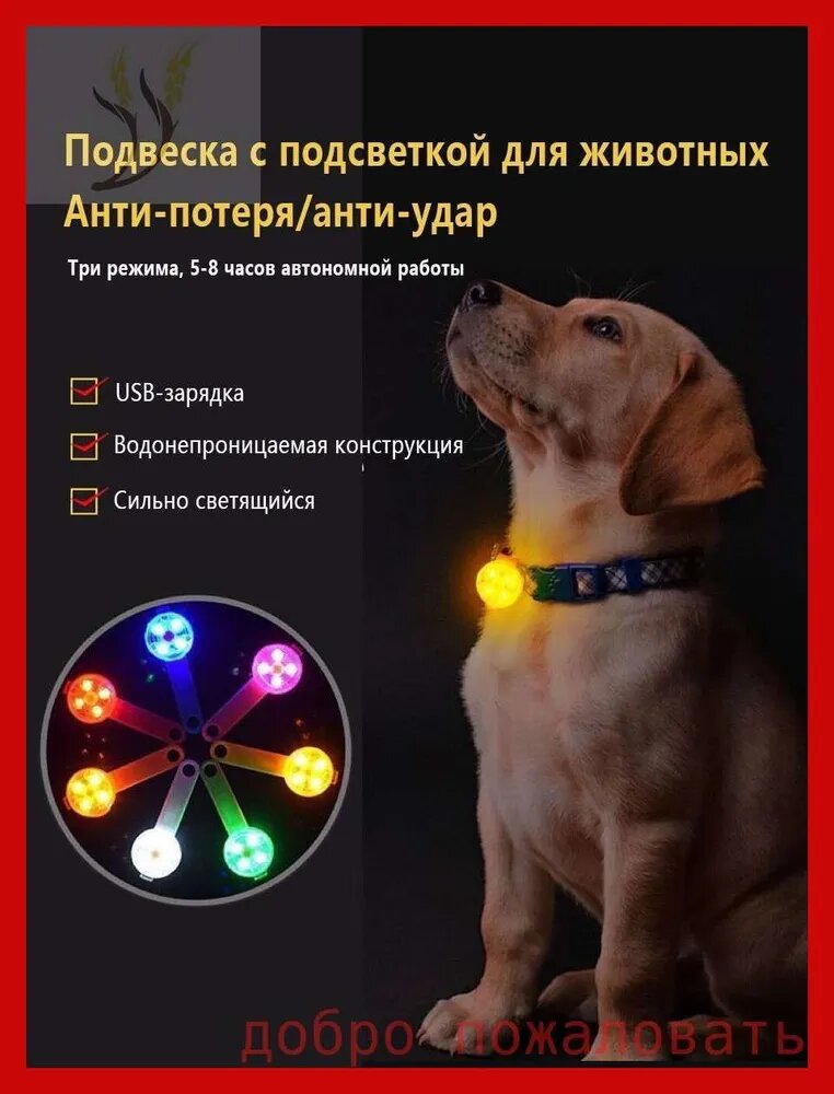 Светящийся брелок на ошейник для собак, светодиодный LED фонарик micro USB / Блинкер