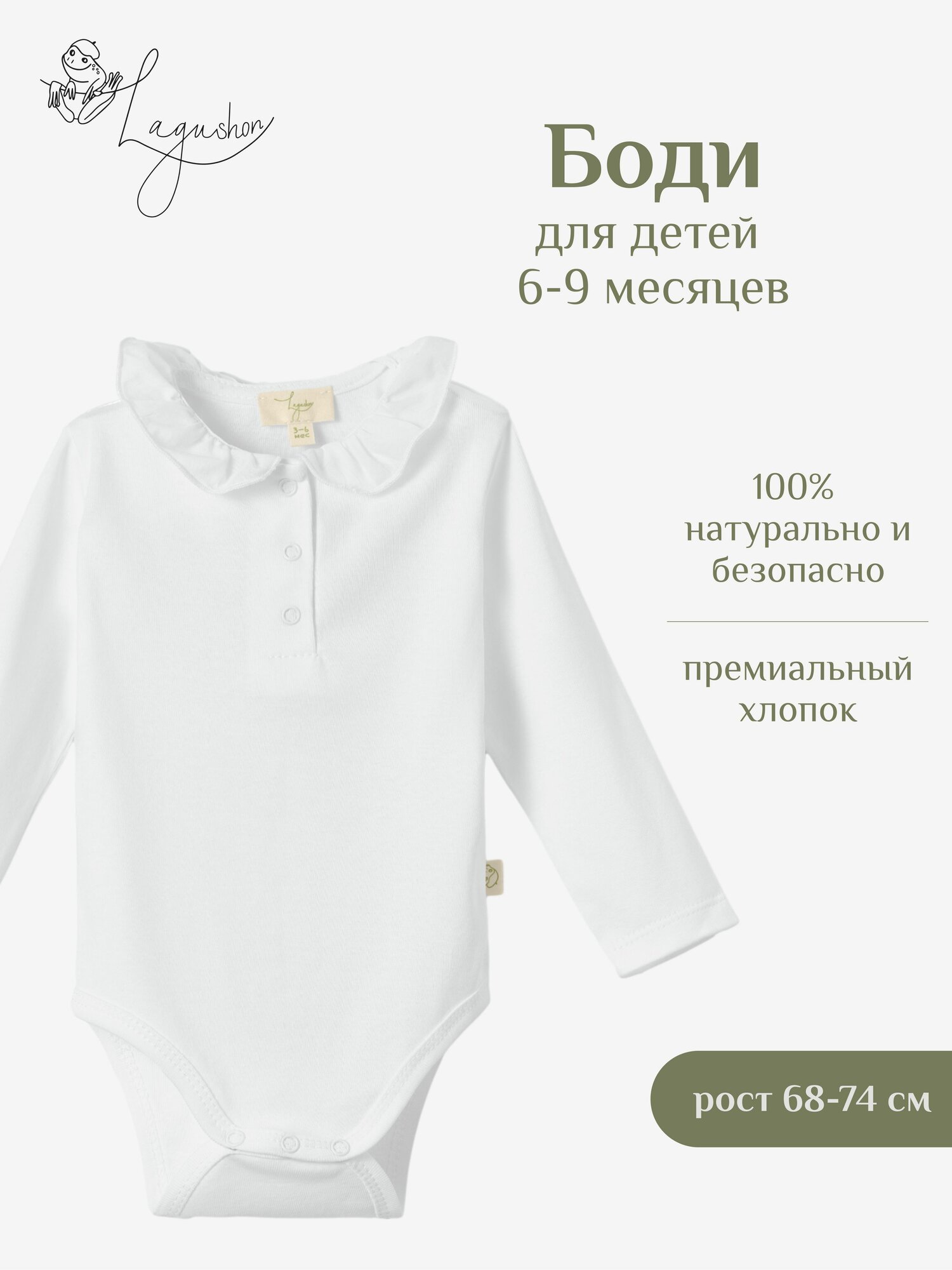 Боди