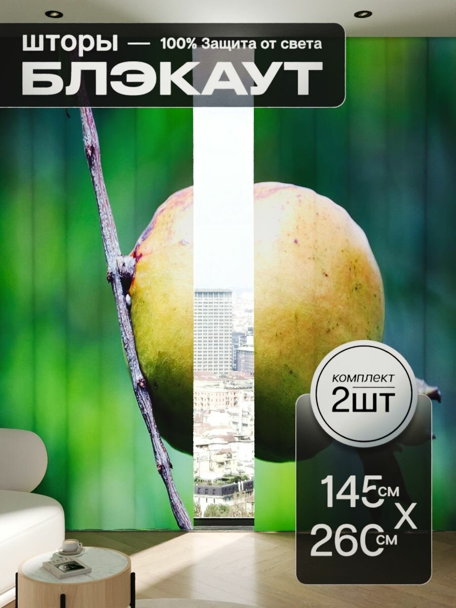 Шторы блэкаут 145x260 см 2 шт на окна плотные комплект
