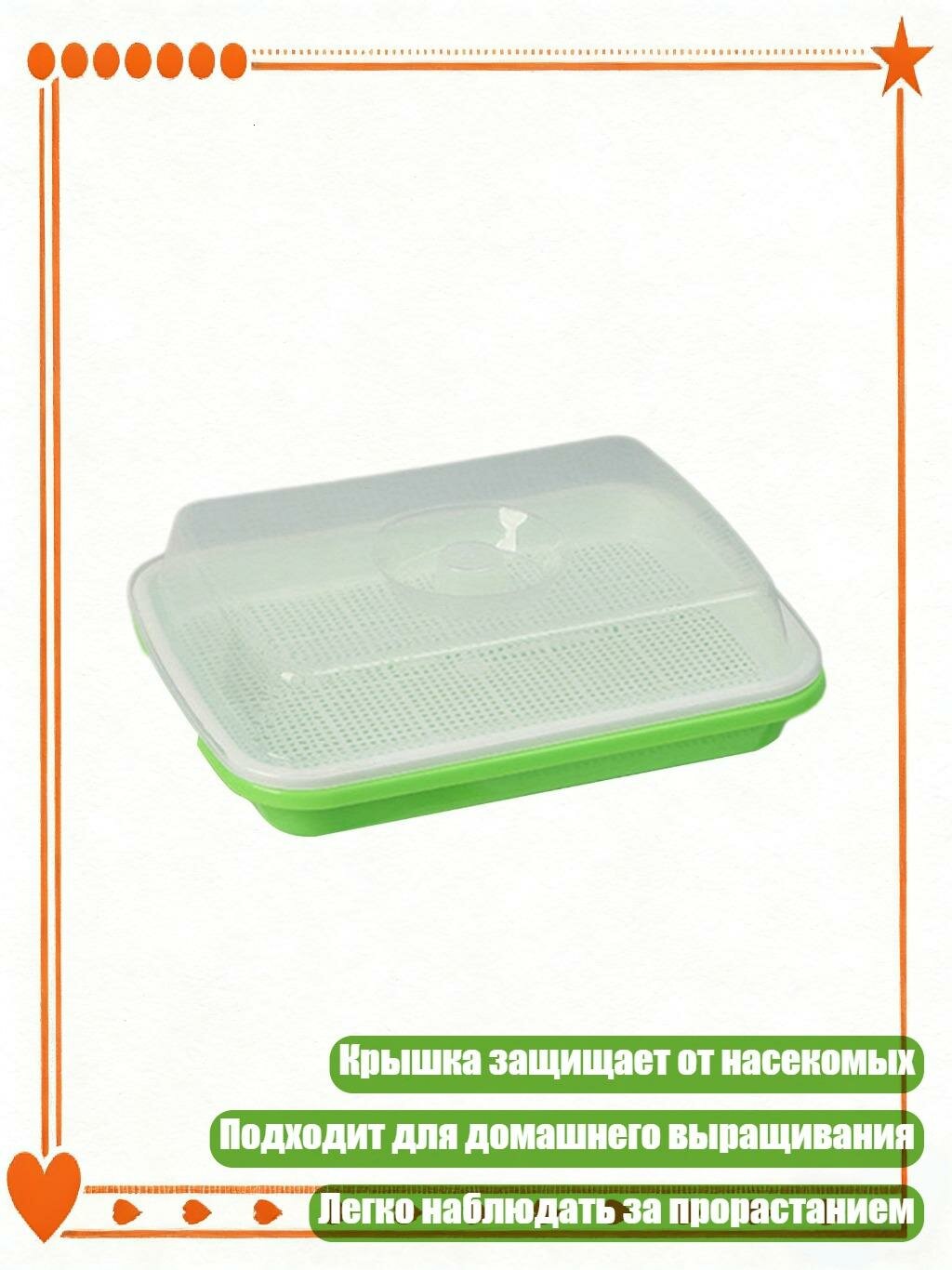 Лоток для проращивания микрозелени, B