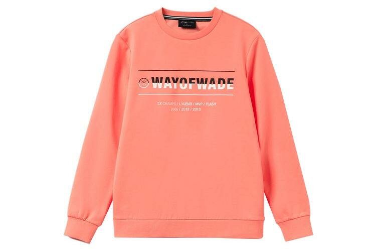 Толстовка Wade Collection