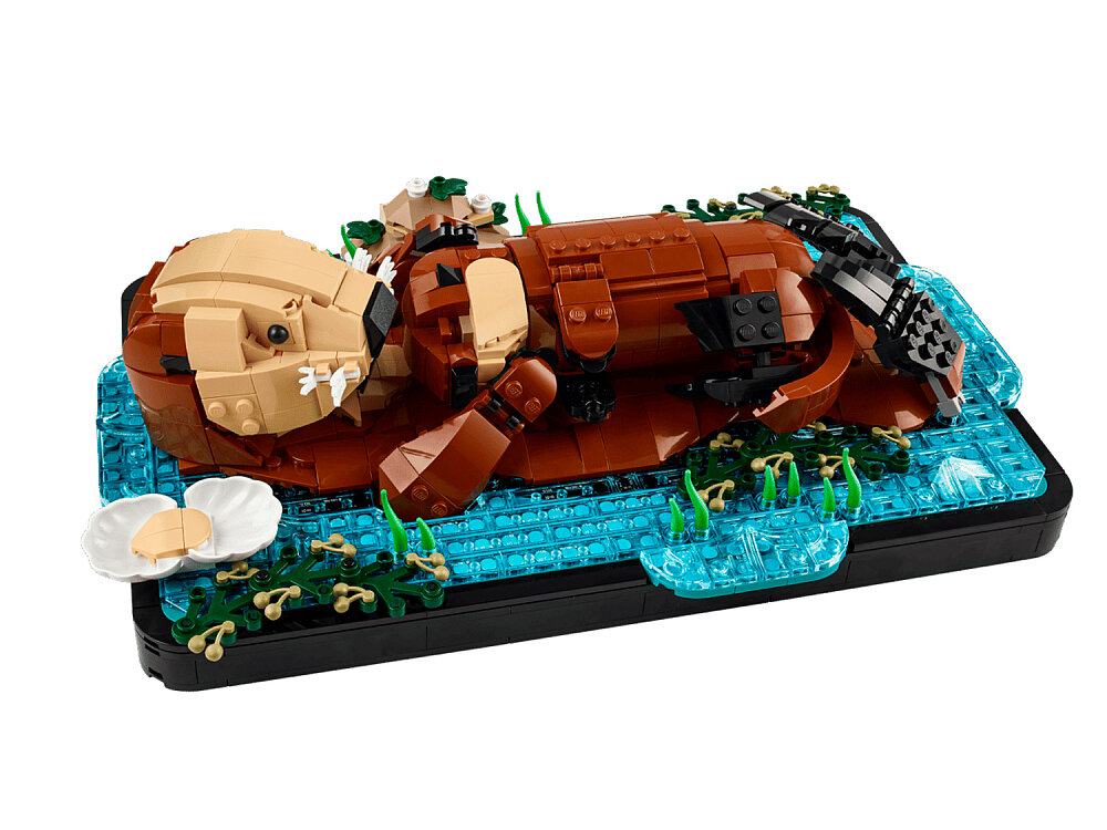 Конструктор LEGO Ideas 21366 Конструктор Плавающая выдра