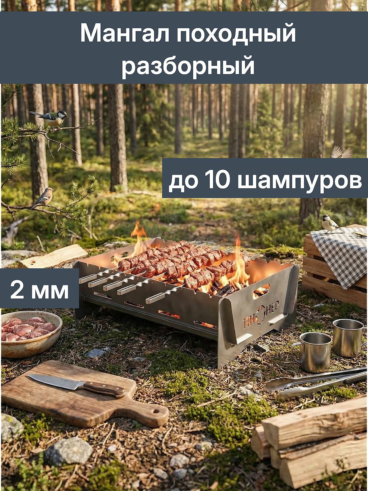 Мангал складной походный для пикника на 10 шампуров, сталь 2 мм. Пионер Мобил "Турист", (разборный)