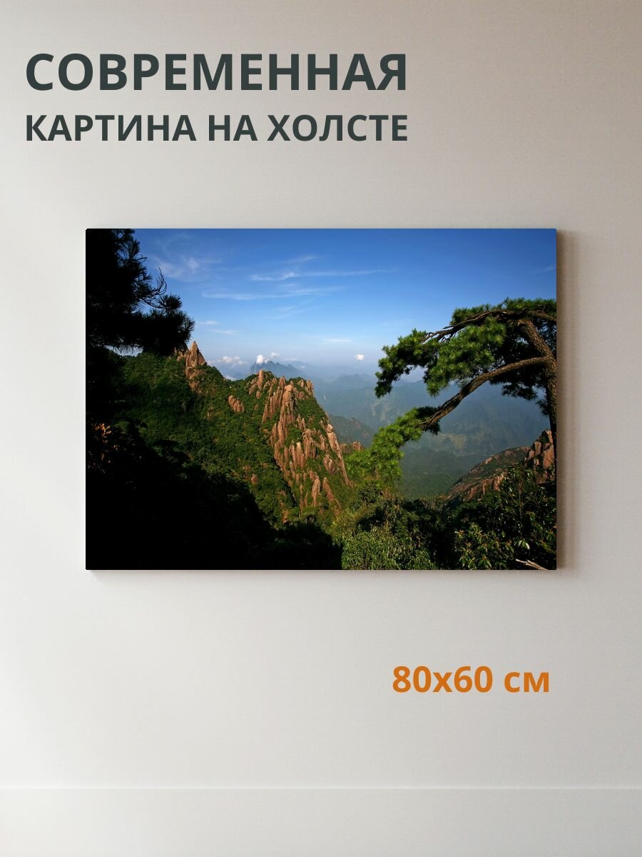 Картина на холсте Горы и лес 80x60 см